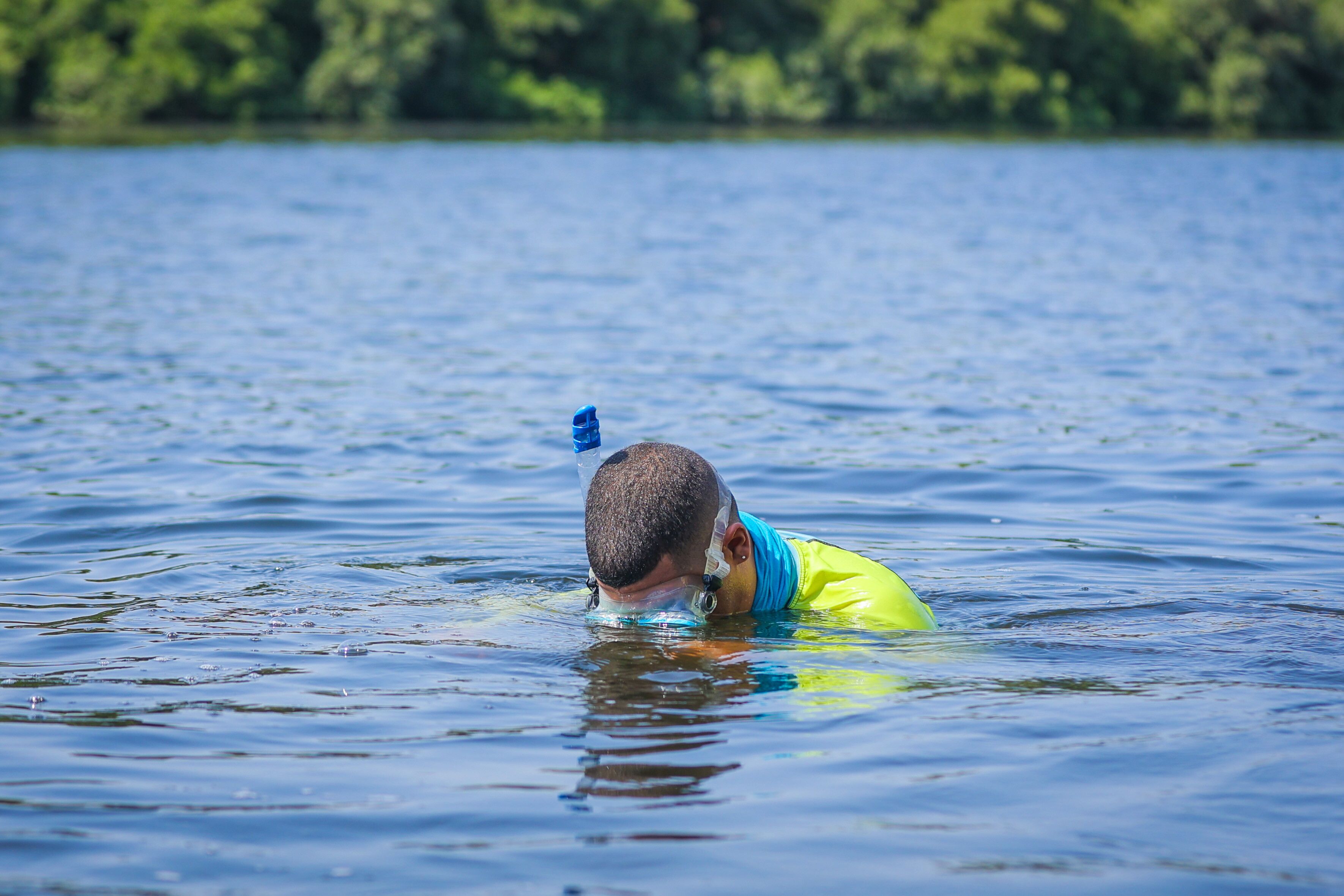 Il progetto che valuta lo stato di salute delle mangrovie nell’area ...