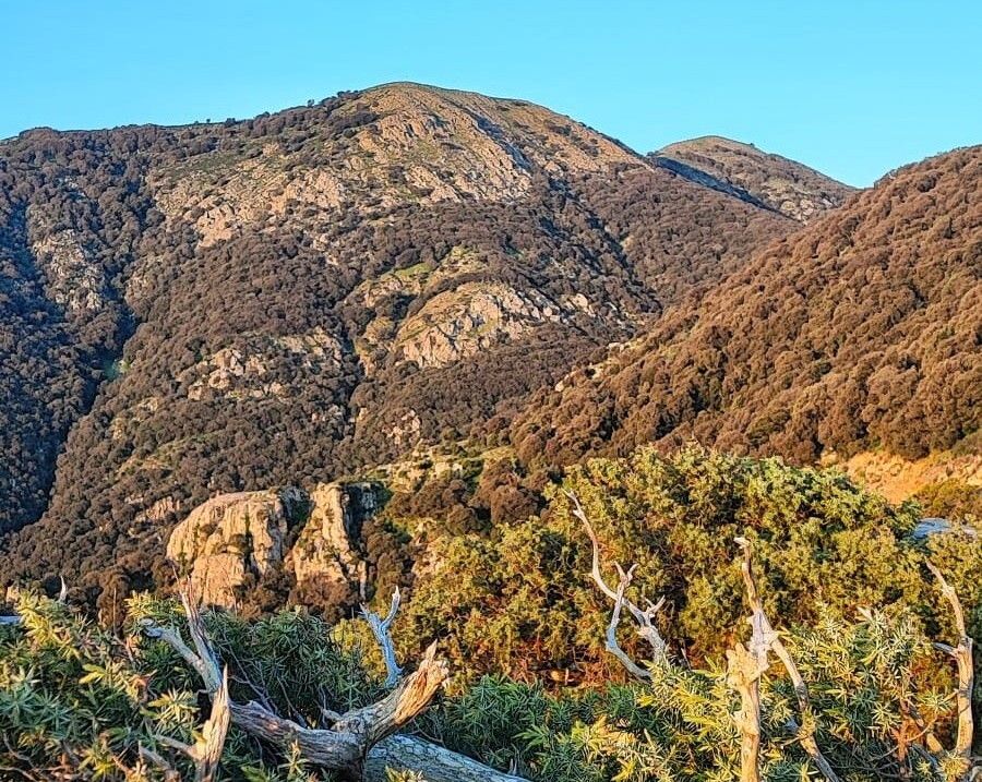 XTERRA in vista! Villacidro Skyrace tra storia e futuro