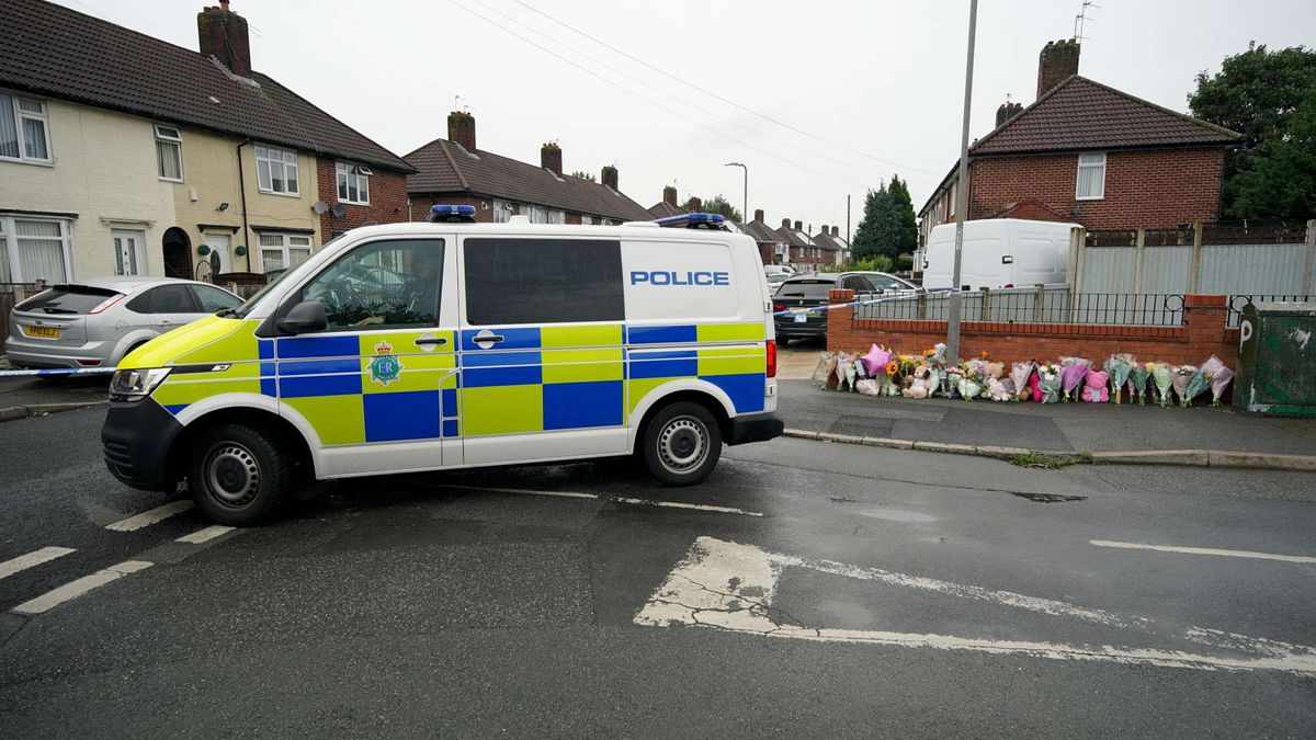 Mayson 14 años casting link stacy is well documented and