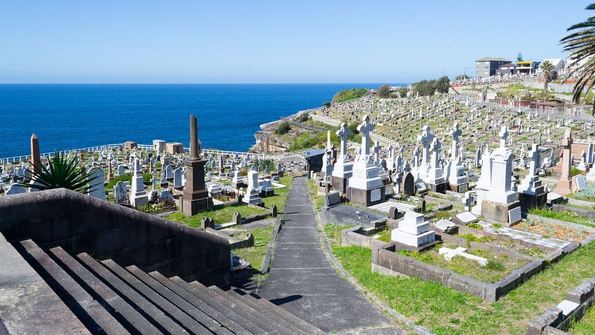 Rasmika mandana ka porn video we communicated back and