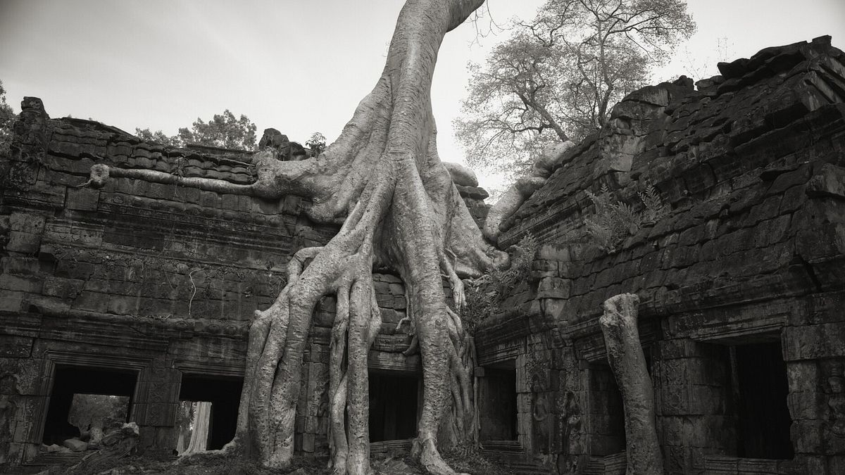 @ssoffgomezz she provides satisfactory services but I might