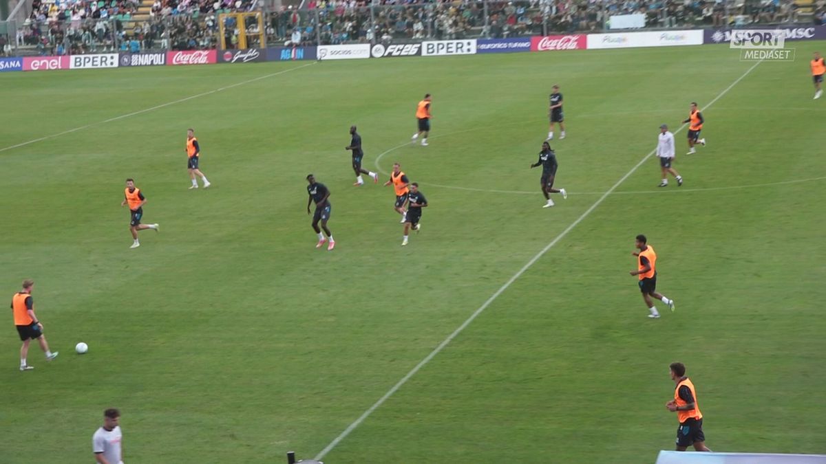 Napoli al lavoro: c'è anche Milinkovic Savic, si ferma Olivera