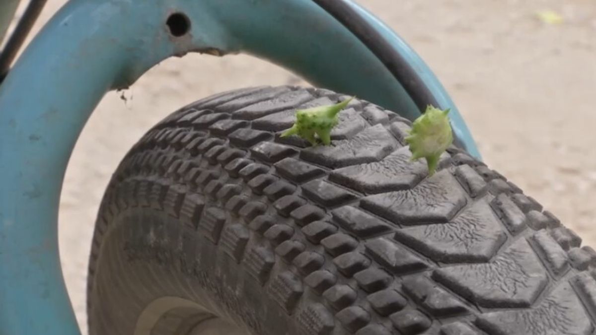 Il tribolo fa "tribolare" i ciclisti romani