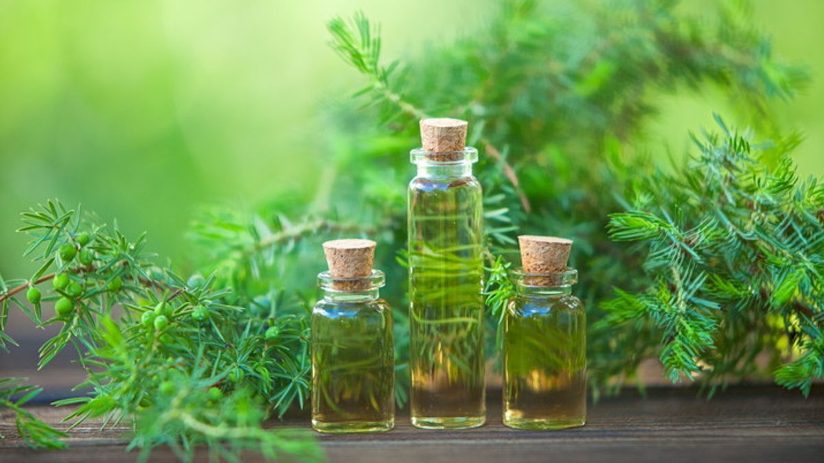 Tea tree oil, un piccolo concentrato di virtù da tenere sempre in ...