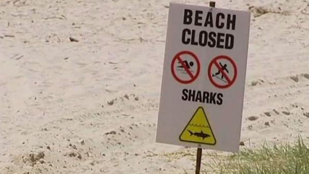 Australia: bagnante ucciso da squalo in acqua bassa a Broome - Tgcom24
