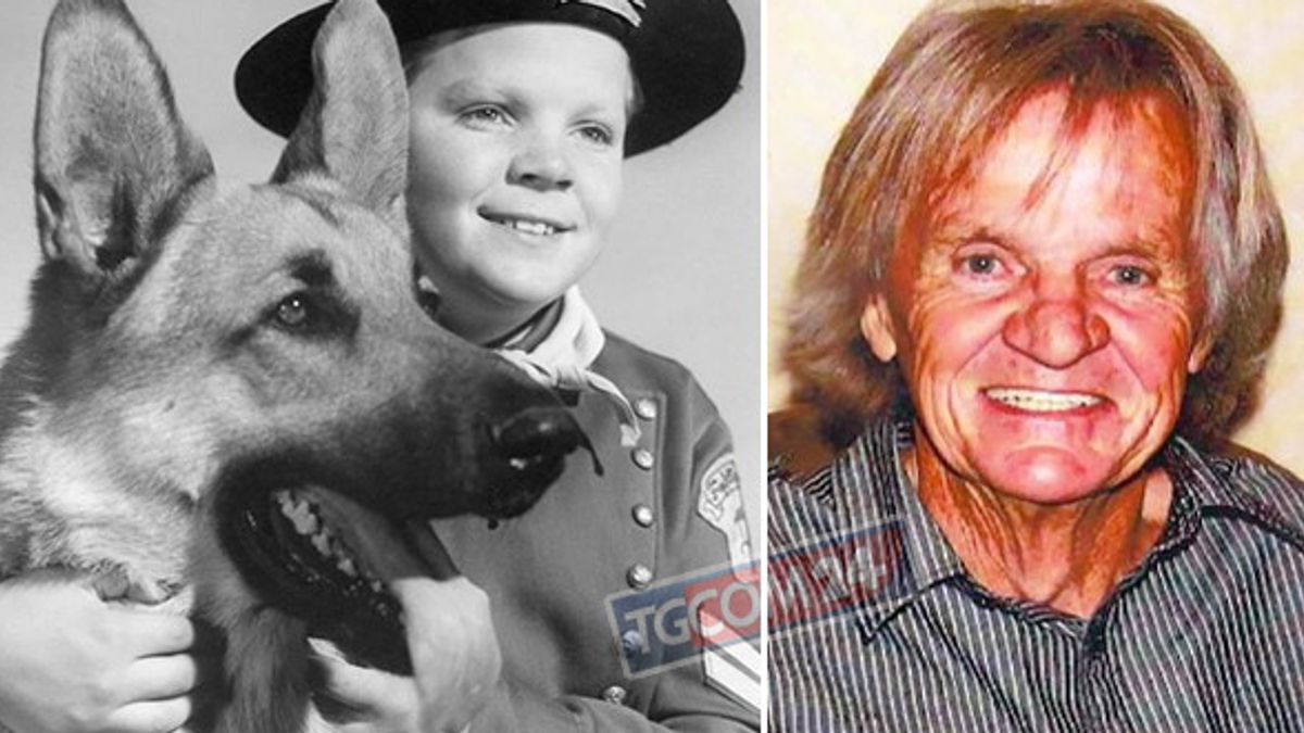 Addio a Lee Aaker, il Rusty di "Le avventure di Rin Tin Tin" - Tgcom24