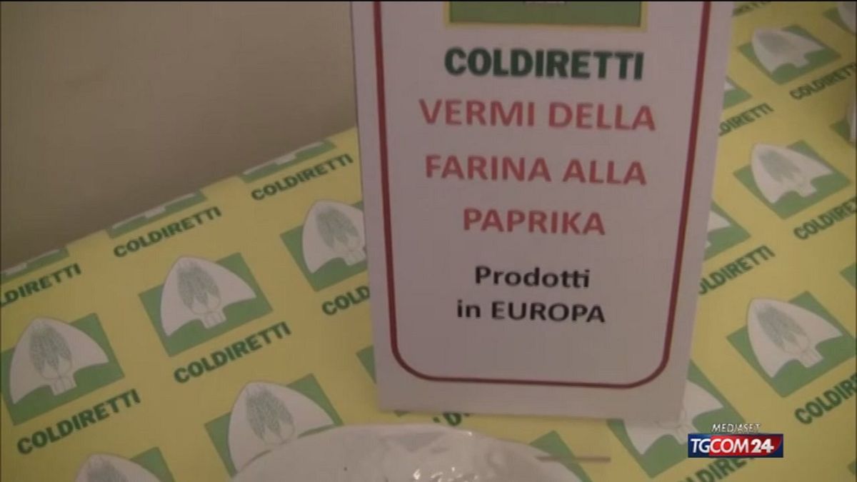 Ue, ok al primo insetto come alimento: è la tarma della farina - Tgcom24