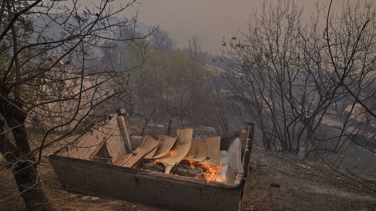 Gli incendi devastano il nord dell'Algeria, almeno 38 morti - Tgcom24