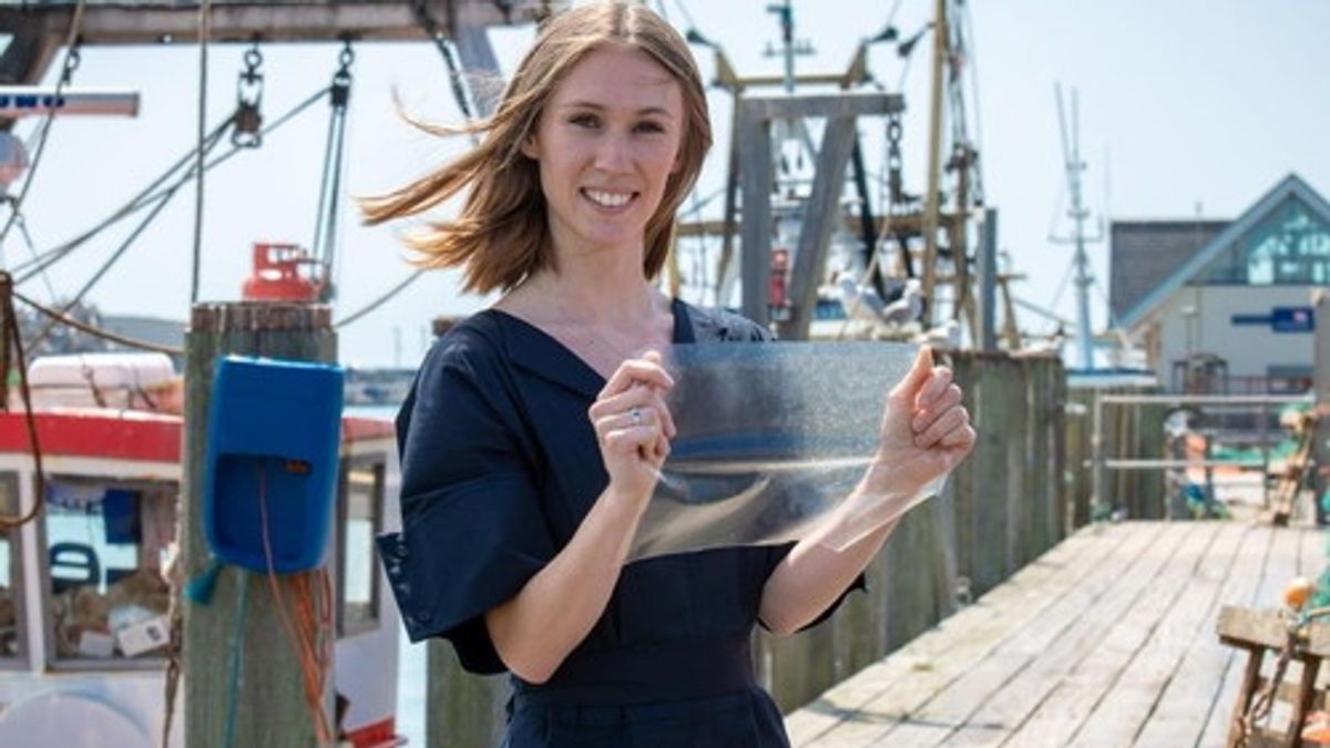 MarinaTex: l'alternativa alla plastica arriva dal mare - Tgcom24