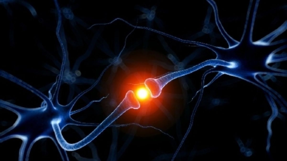 Nervi danneggiati di braccia e mani riparati con "binari" di collagene ...