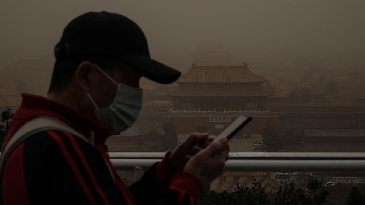 Covid e smog, lo studio: Covid e smog, lo studio: