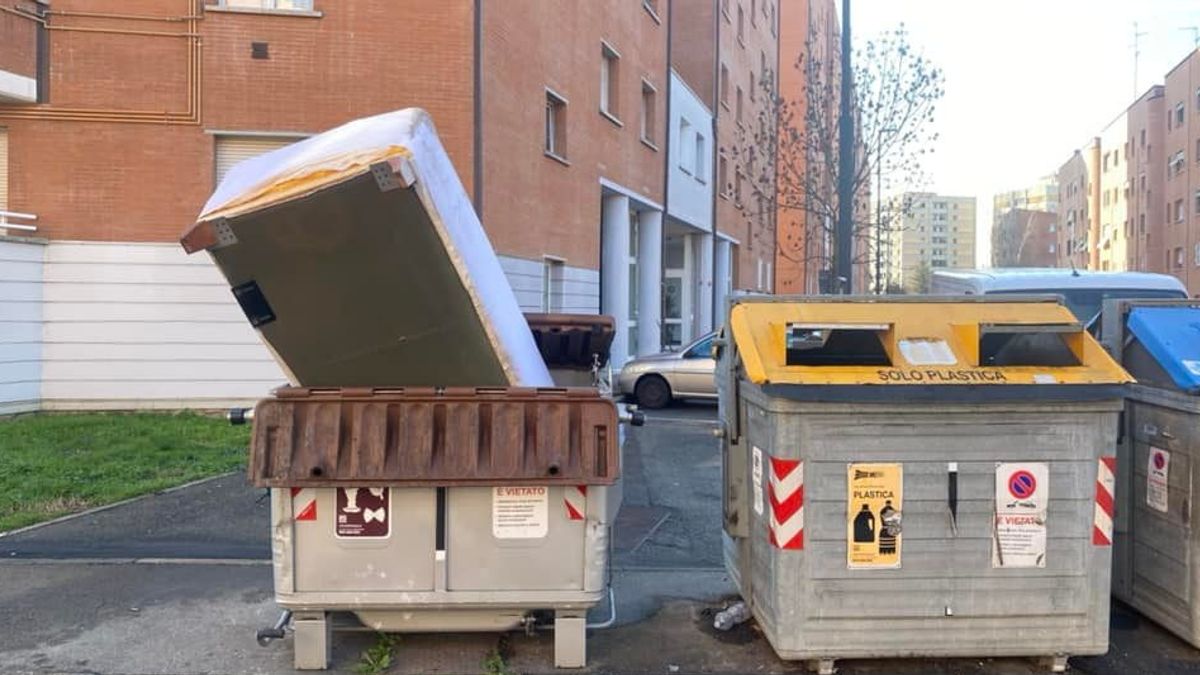 Bologna, un divano gettato nel bidone dell'umido: indignazione del ...