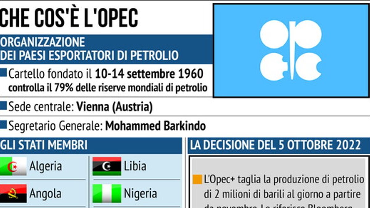 Petrolio, che cos'è l'Opec - Tgcom24