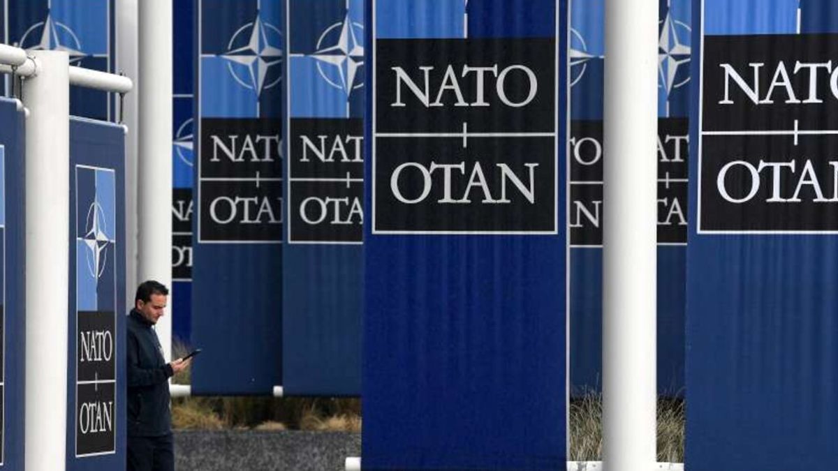Nato, attacco hacker a siti web dell'Alleanza Atlantica