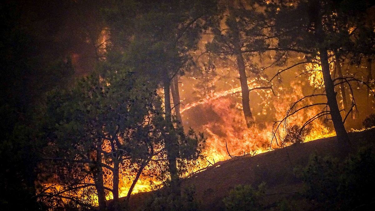 Incendi a Rodi e Corfù, le fiamme lambiscono le abitazioni