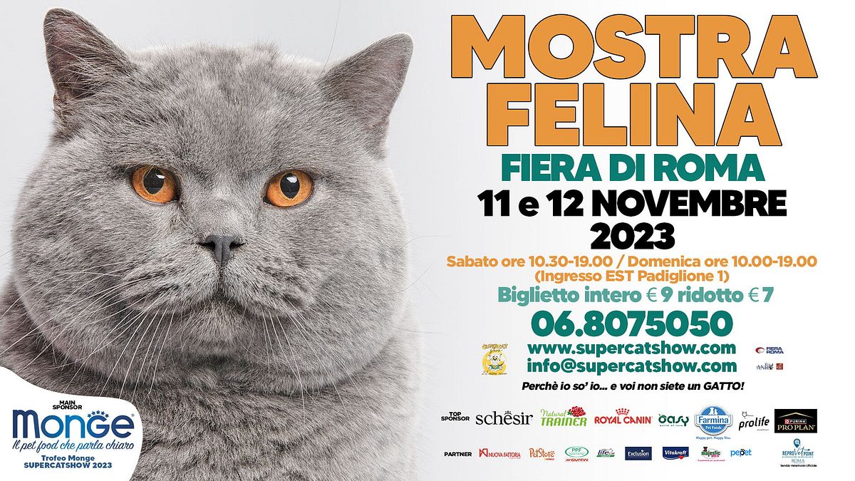 Roma: gatti protagonisti a Supercat Show