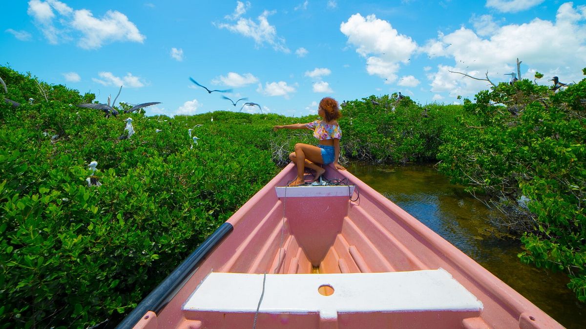 Un viaggio a Barbuda per esperienze straordinarie
