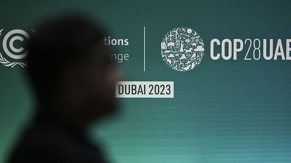 WWF: la COP28 sia la COP della credibilità climatica