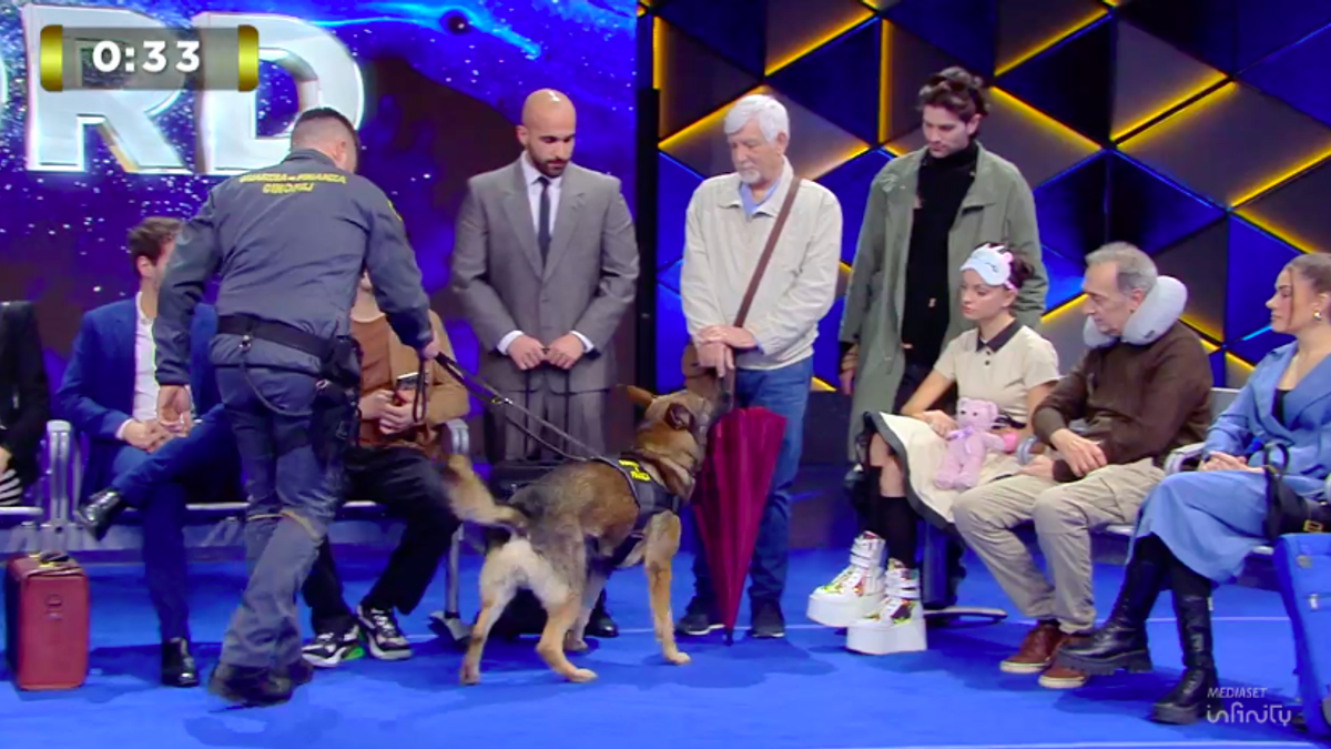 "Lo show dei record", il cane va alla ricerca delle banconote