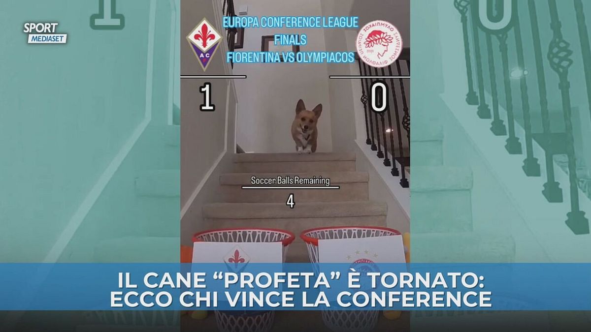 Il cane profeta è tornato: chi vince la Conference? - SportMediaset
