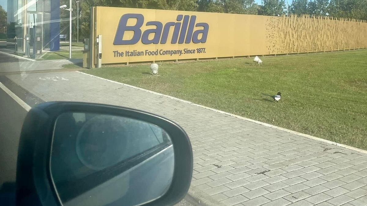 Barilla incontra la bambina dei "tappi": "E ora mi è venuta un'altra ...