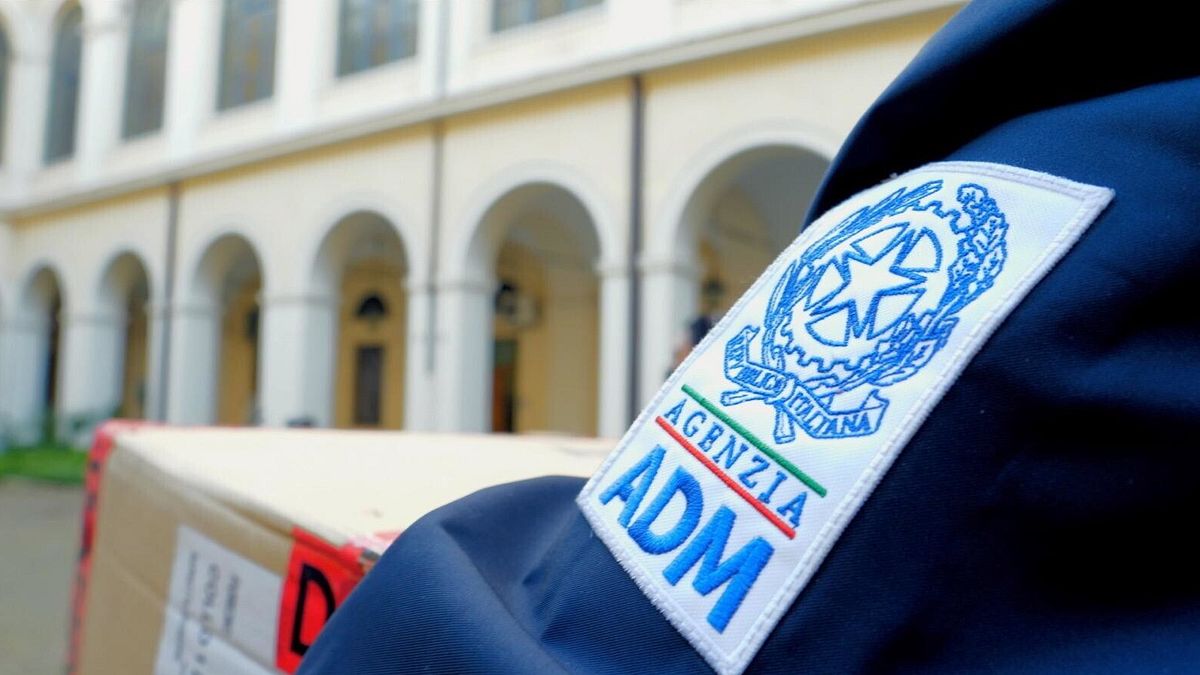 Concorso Agenzia dogane monopoli, 415 posti: requisiti e domanda
