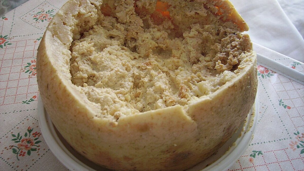 Sardegna, il casu marzu tra i cibi più disgustosi del mondo
