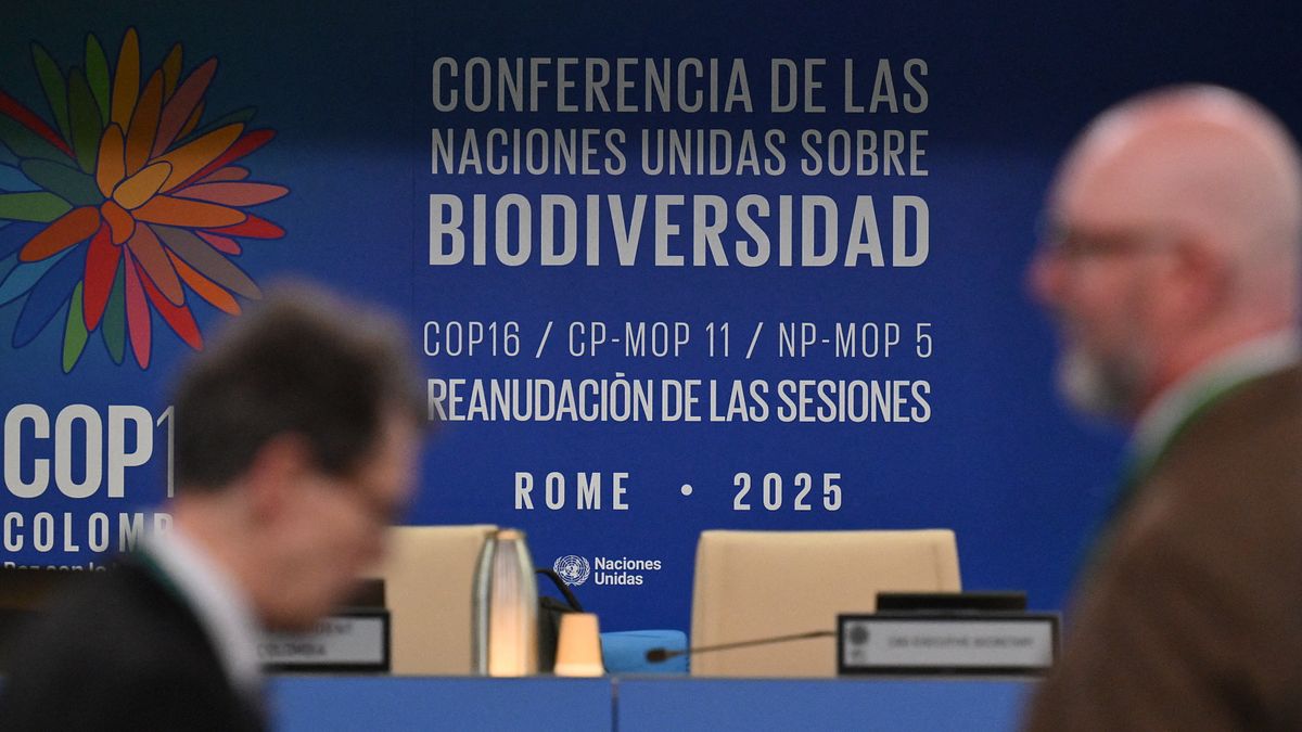 Cali Fund, uno strumento di giustizia ambientale