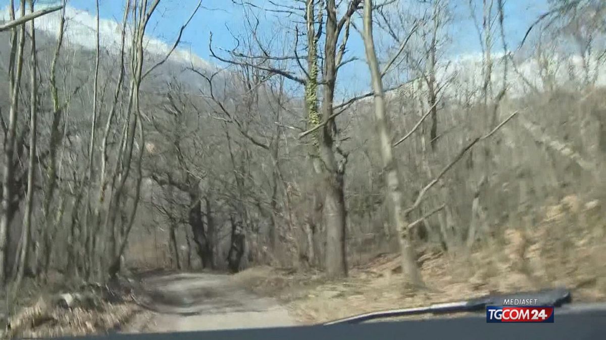 Caso Mara Favro, le ossa ritrovate nei boschi sono sue