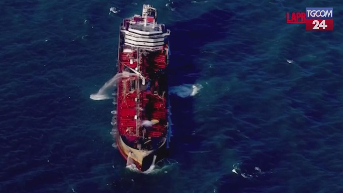 Collisione tra una petroliera e una nave cargo, il greggio si riversa ...