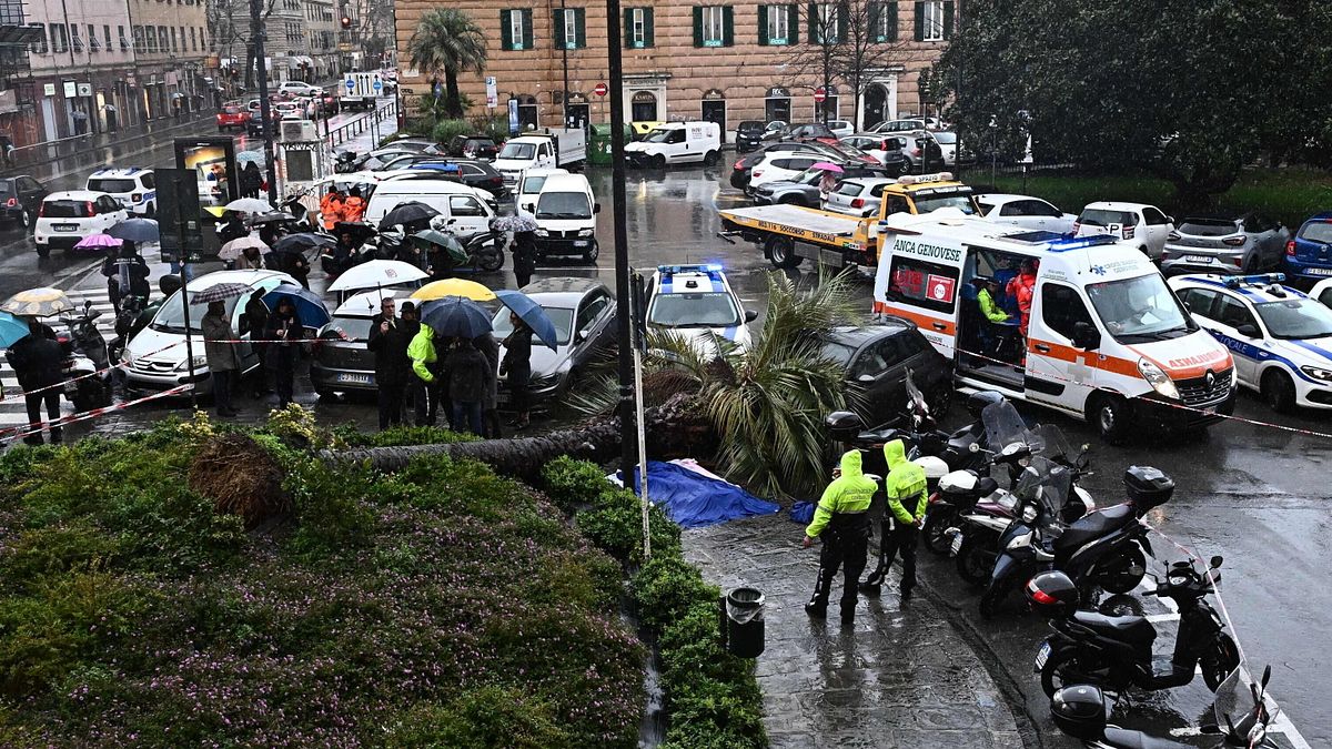 Genova, palma cade in una piazza: travolta e uccisa una donna