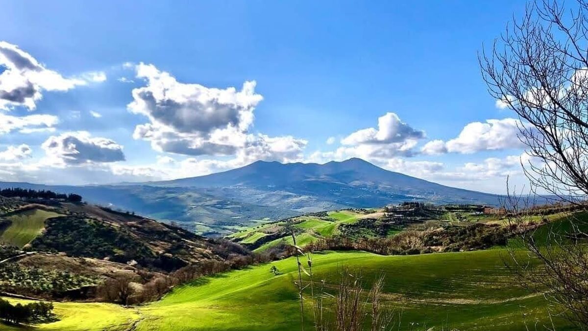 Vino, la magia del Vulture