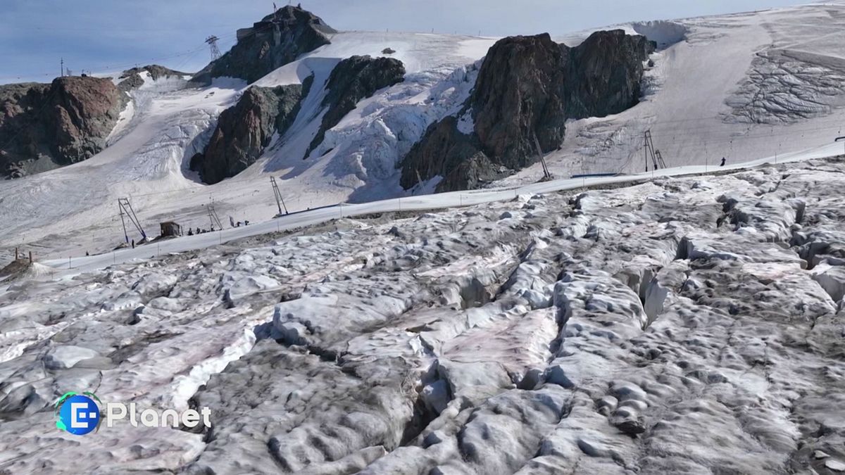 Monitorare per proteggere