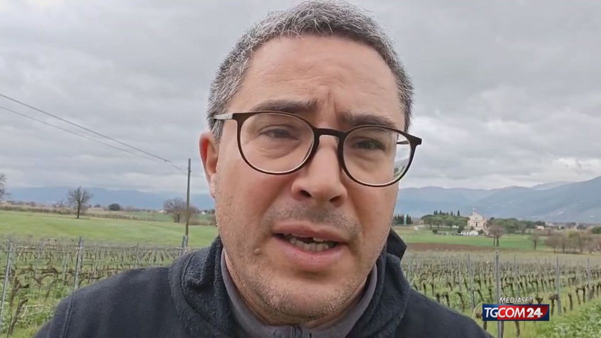 Dazi Usa sul vino italiano, ferme le esportazioni