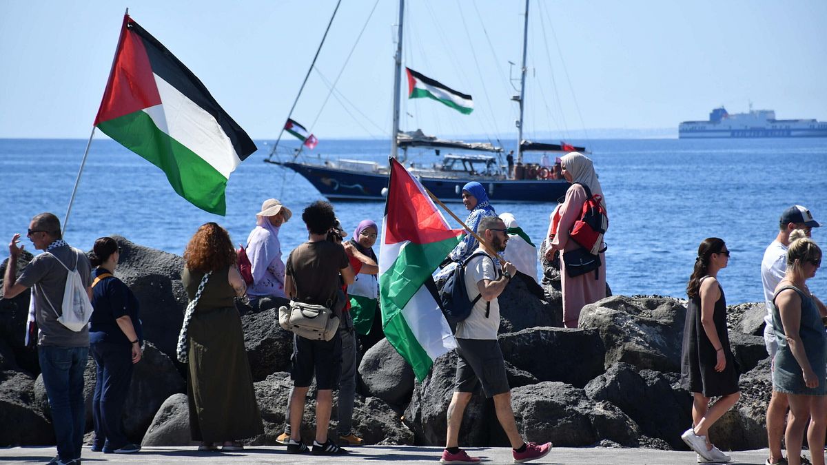 Flotilla, Thunberg: "Violenze sessuali in Israele su attivisti"