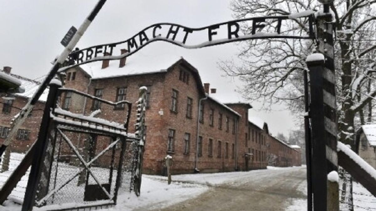 Giornata della Memoria 2025: Ricordare la Shoah per Non Dimenticare