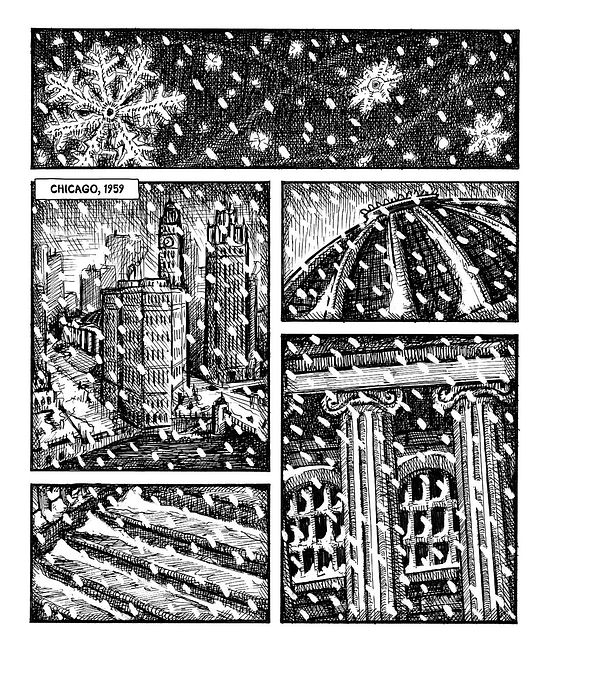 "L'incidente di caccia" di David L. Carlson e Landis Blair: ecco alcune ...