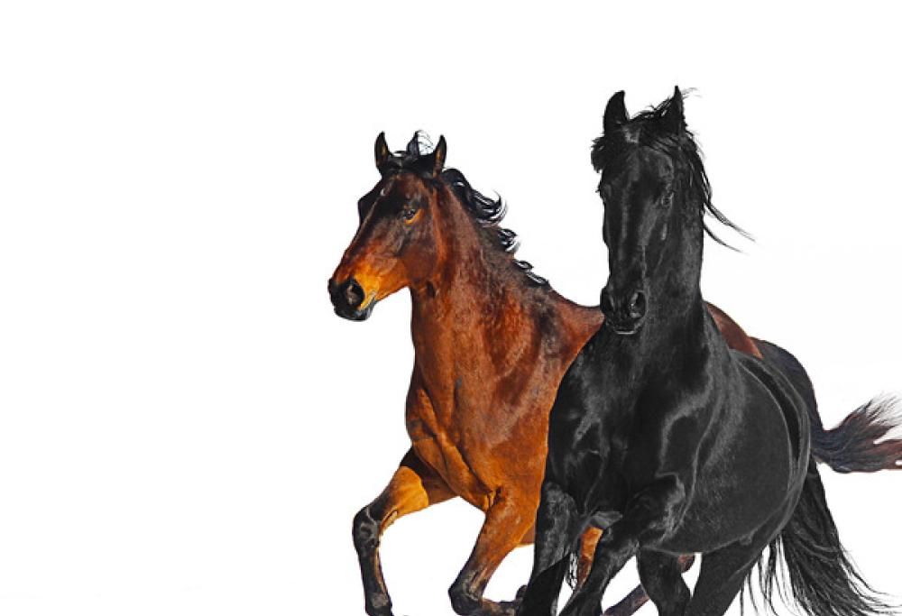 Old Town Road (feat. Billy Ray Cyrus) - Radio 105
