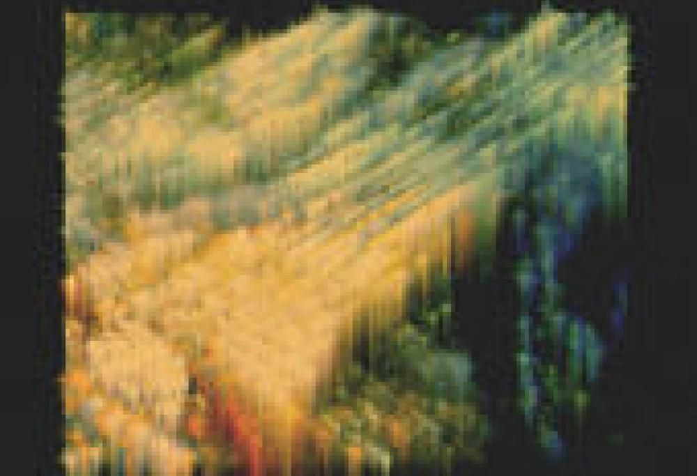 The Clown - Radio Monte Carlo