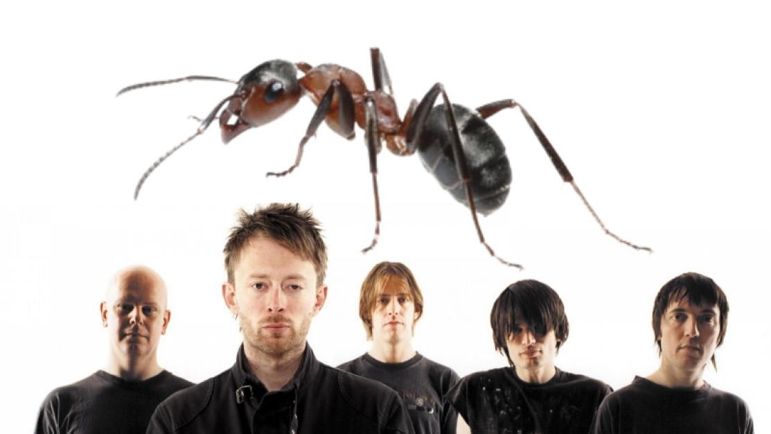 Radiohead: una nuova specie di formica porterà il nome della band ...