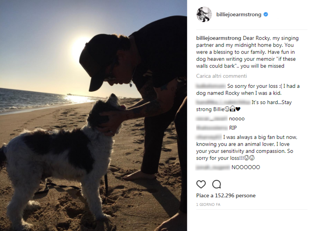 Green Day: Billie Joe Armstrong ha dato addio al suo cane Rocky. Guarda ...