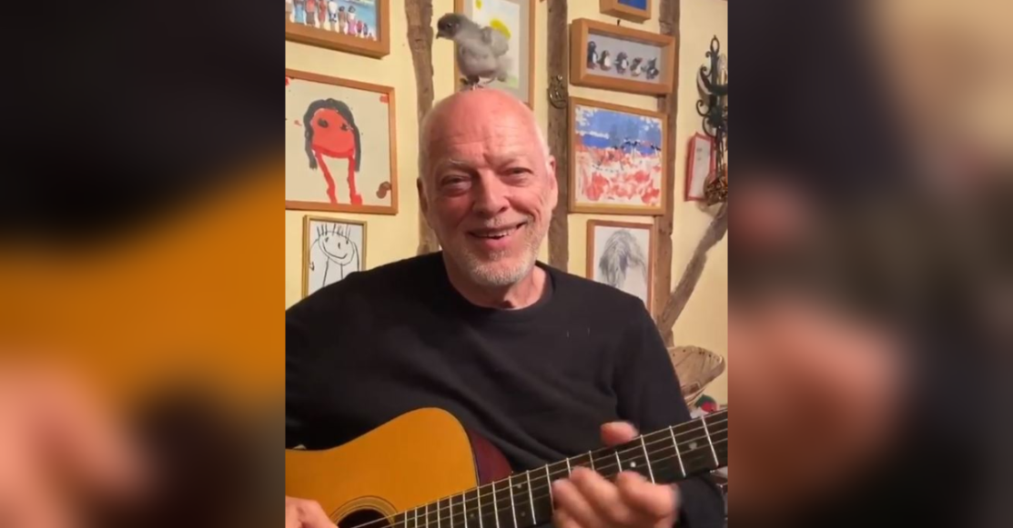 Coronavirus, David Gilmour e le prove in cucina in quarantena con un ...